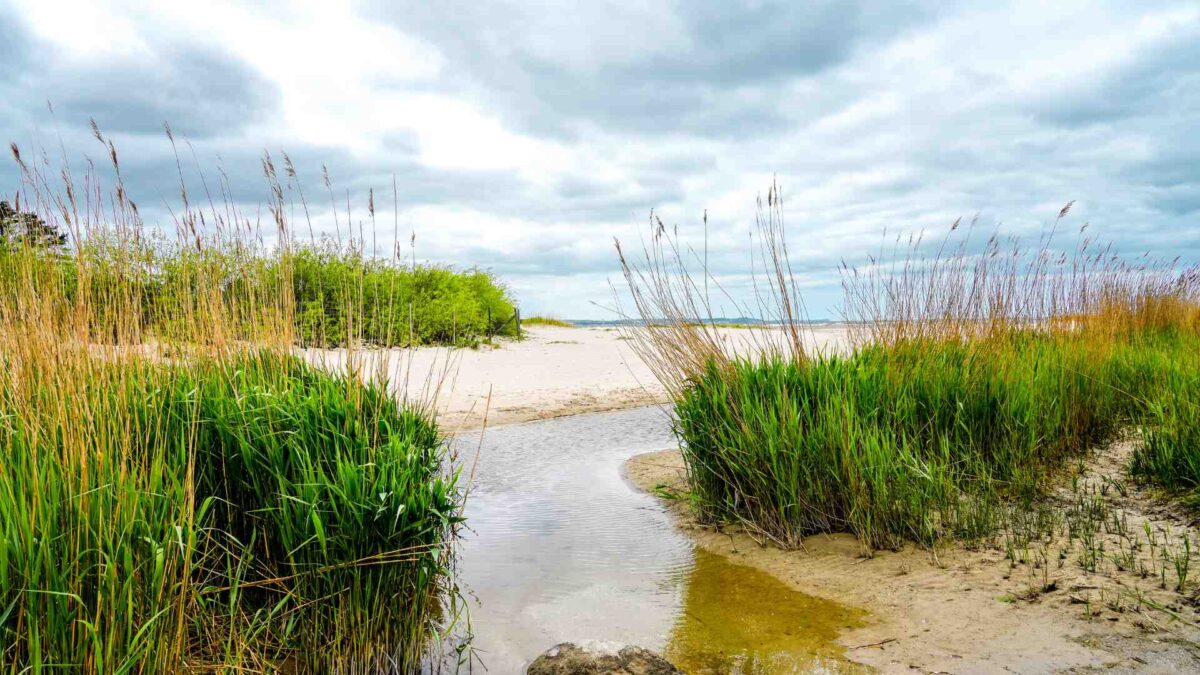 Die 10 schönsten Usedom Strände an der Ostseeküste