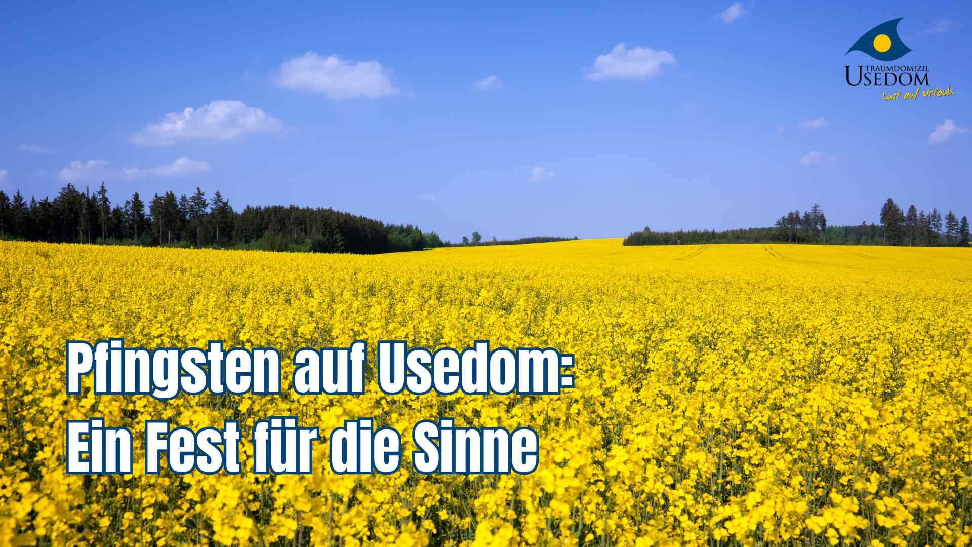 Pfingsten auf Usedom: Ein Fest für die Sinne